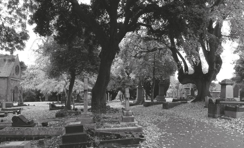 London Road Cemetery - Maber