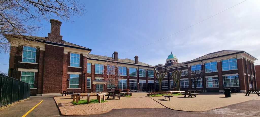 Bemrose School Oak Tree - Maber